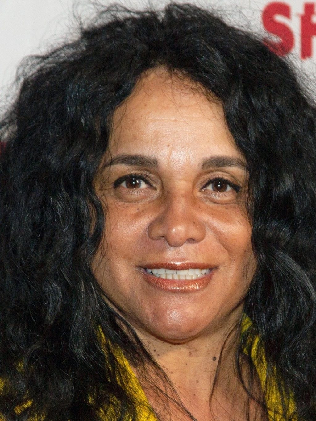 Kelly Jo Minter: From 'Elm Street' to Iconic Roles - bioinkling.com