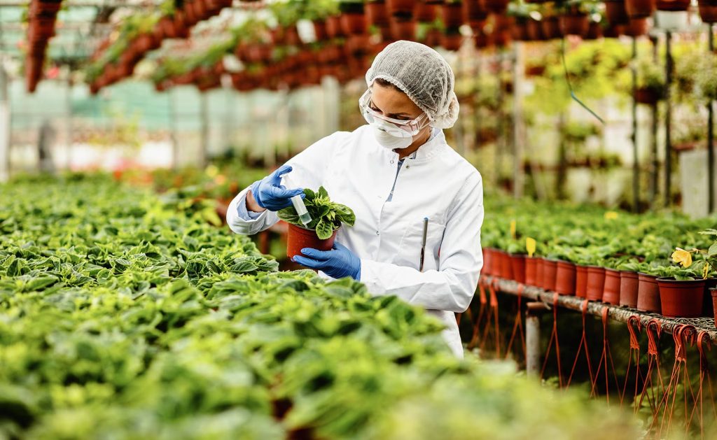 Selena Green Vargas: Age, Career & Life Journey Revealed - bioinkling.com